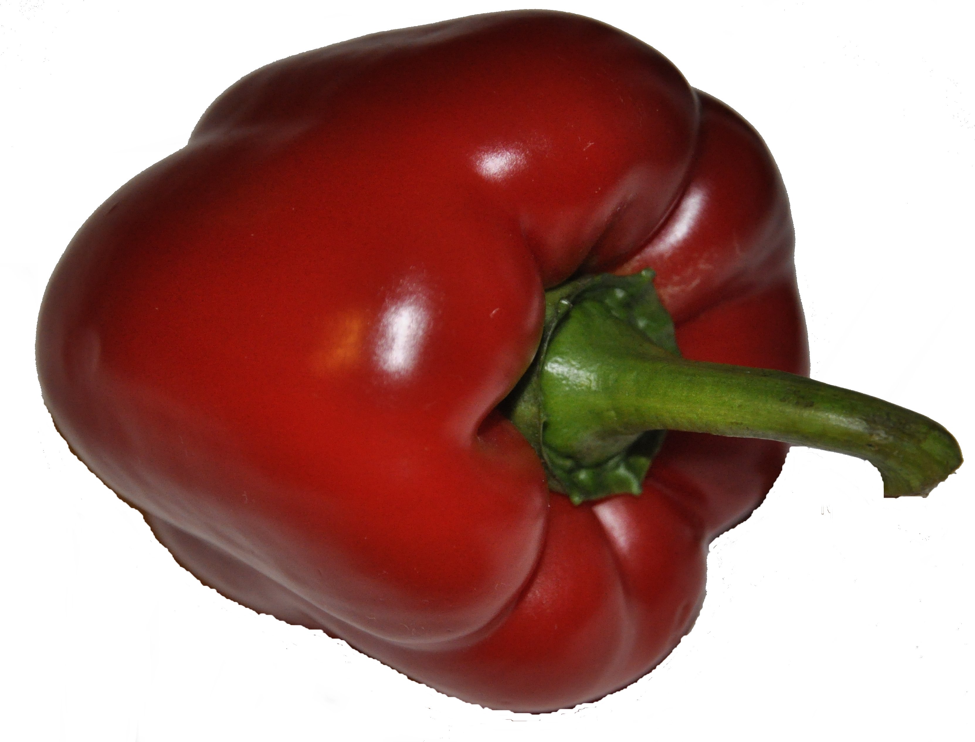 The Domesticated Species of Capsicum — Part of The Biochemistry of ...