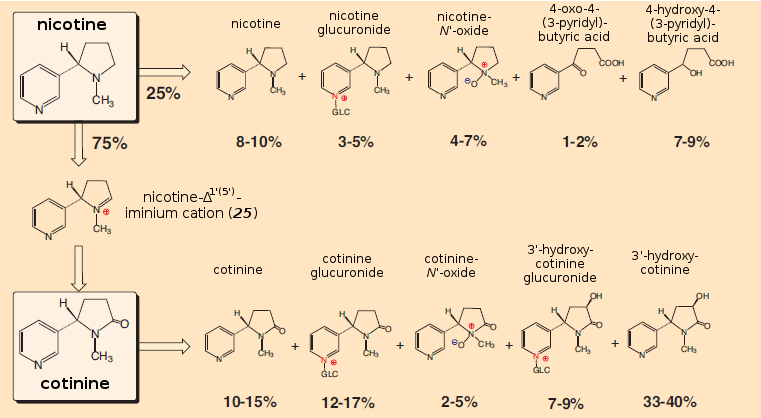 The Chemistry of Tobacco – Part 4 :: ChemViews Magazine :: ChemistryViews
