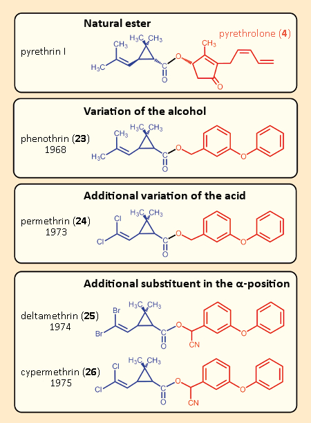 Pyrethrum: History of a Bio-Insecticide – Part 5 :: ChemViews Magazine ...