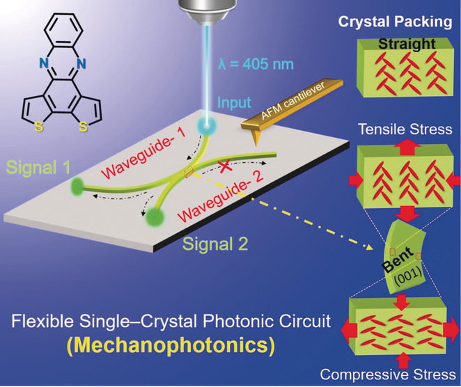 Flexible Optical Waveguide Crystals :: ChemViews Magazine :: ChemistryViews