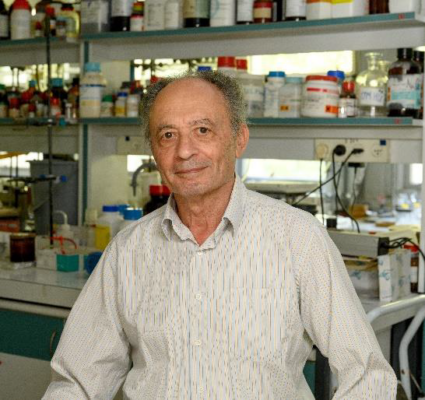 David Milstein: Shaping Organometallic Catalysis Over Five Decades ...