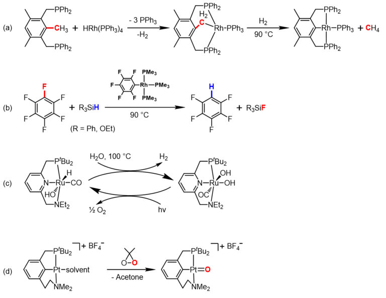 David Milstein: Shaping Organometallic Catalysis Over Five Decades ...
