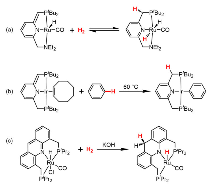 David Milstein: Shaping Organometallic Catalysis Over Five Decades ...