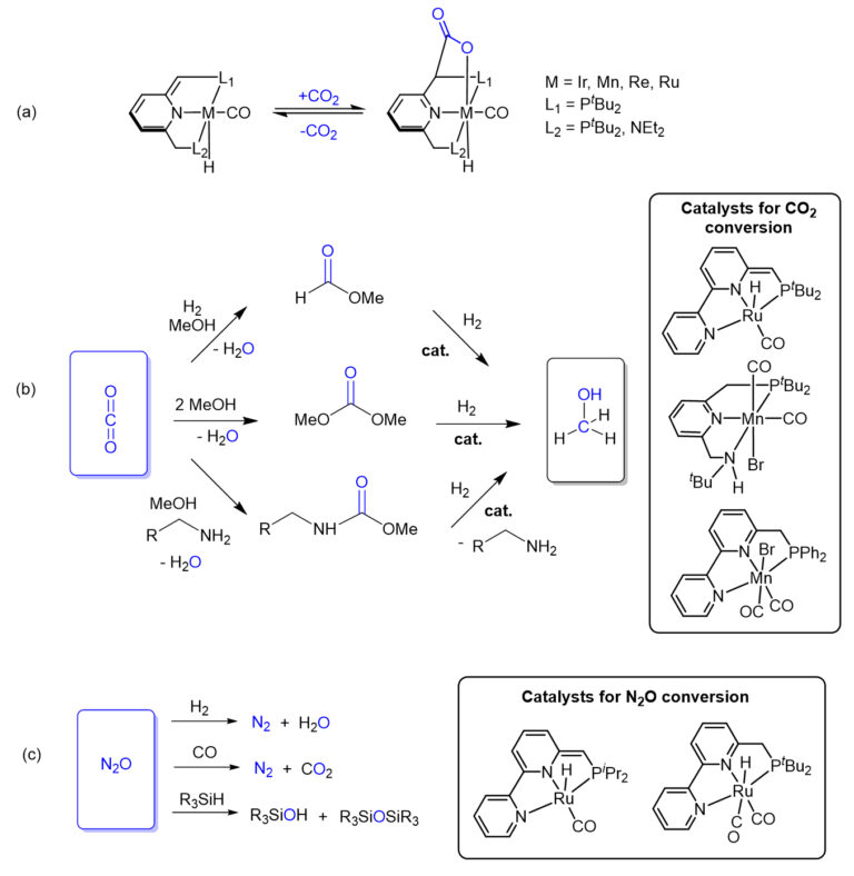 David Milstein: Shaping Organometallic Catalysis Over Five Decades ...