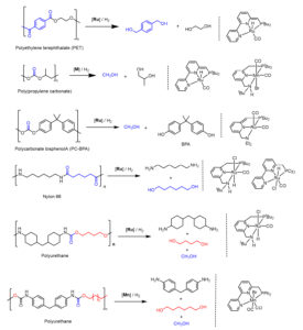 David Milstein: Shaping Organometallic Catalysis Over Five Decades ...