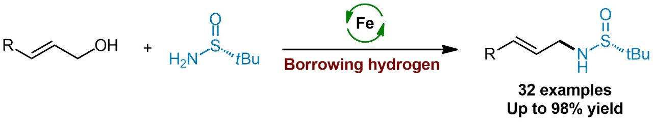 Amidation of Allylic Alcohols via Borrowing Hydrogen Catalysis ...