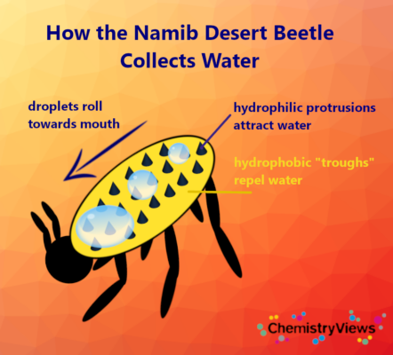 Capturing Water from the Atmosphere - ChemistryViews