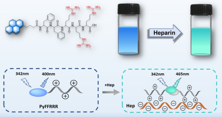 Self-Assembled Peptide for the Detection of Heparin - ChemistryViews