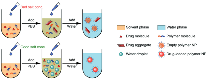 Polymer Nanoparticles with High Drug Loading - ChemistryViews