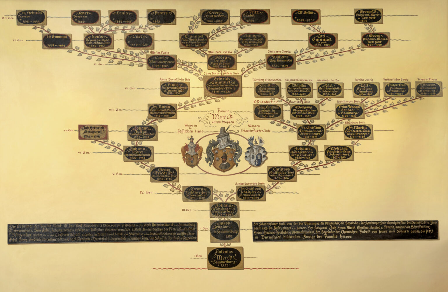 Geheimer Medizinalrat, Dr. med. h. c., Dr. ing. h. c., Dr. phil ...