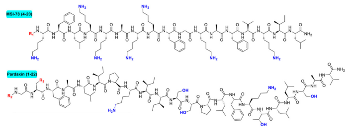How Does Lipidation Affect the Activity of Antimicrobial Peptides ...