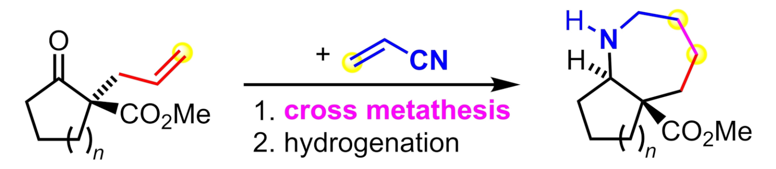 Preparation of Optically Active Azepane Scaffolds - ChemistryViews
