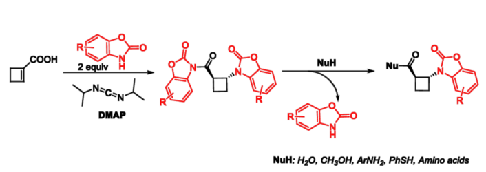 New Derivatives of Cyclobutane β-Amino Acids - ChemistryViews