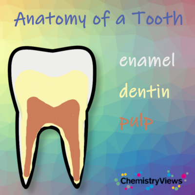 Dental Restoration Materials - ChemistryViews