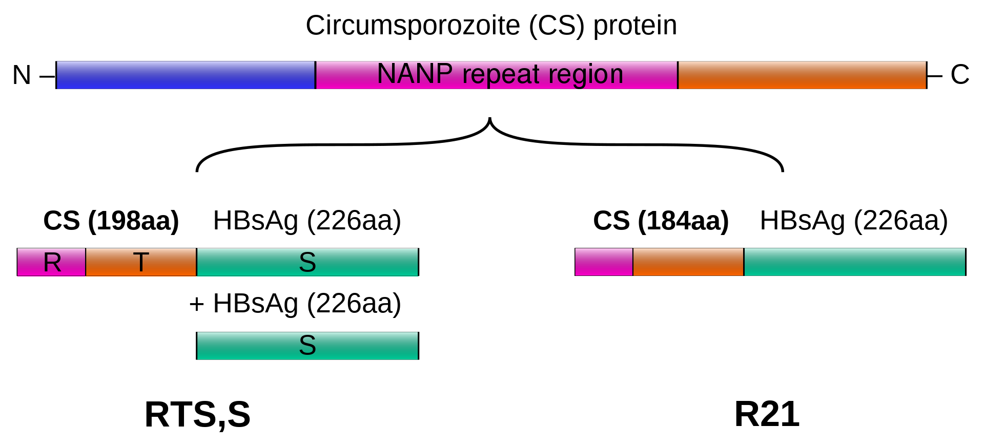 High Expectations for the Malaria Vaccine R21/Matrix-M - ChemistryViews