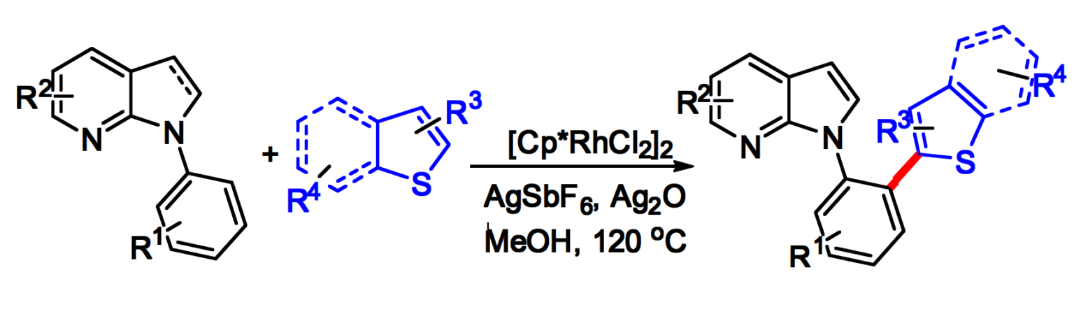 Coupling of 7-Azaindoles with Thiophenes - ChemistryViews