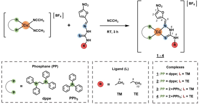 Copper(I) Complexes as Dual Anticancer and Antiparasitic Agents ...