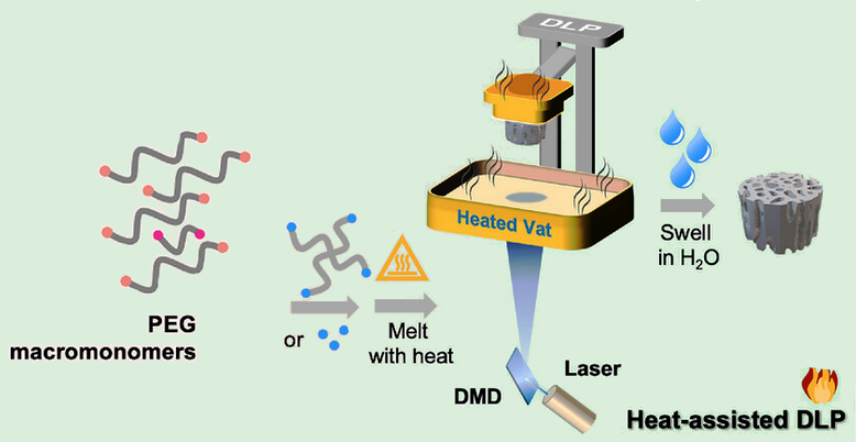 High-Resolution 3D Printing of Bioactive Hydrogels - ChemistryViews