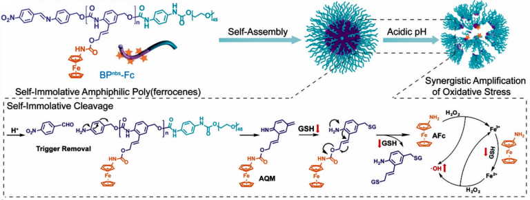 Self-Immolative Polyferrocene for Tumor Treatment - ChemistryViews