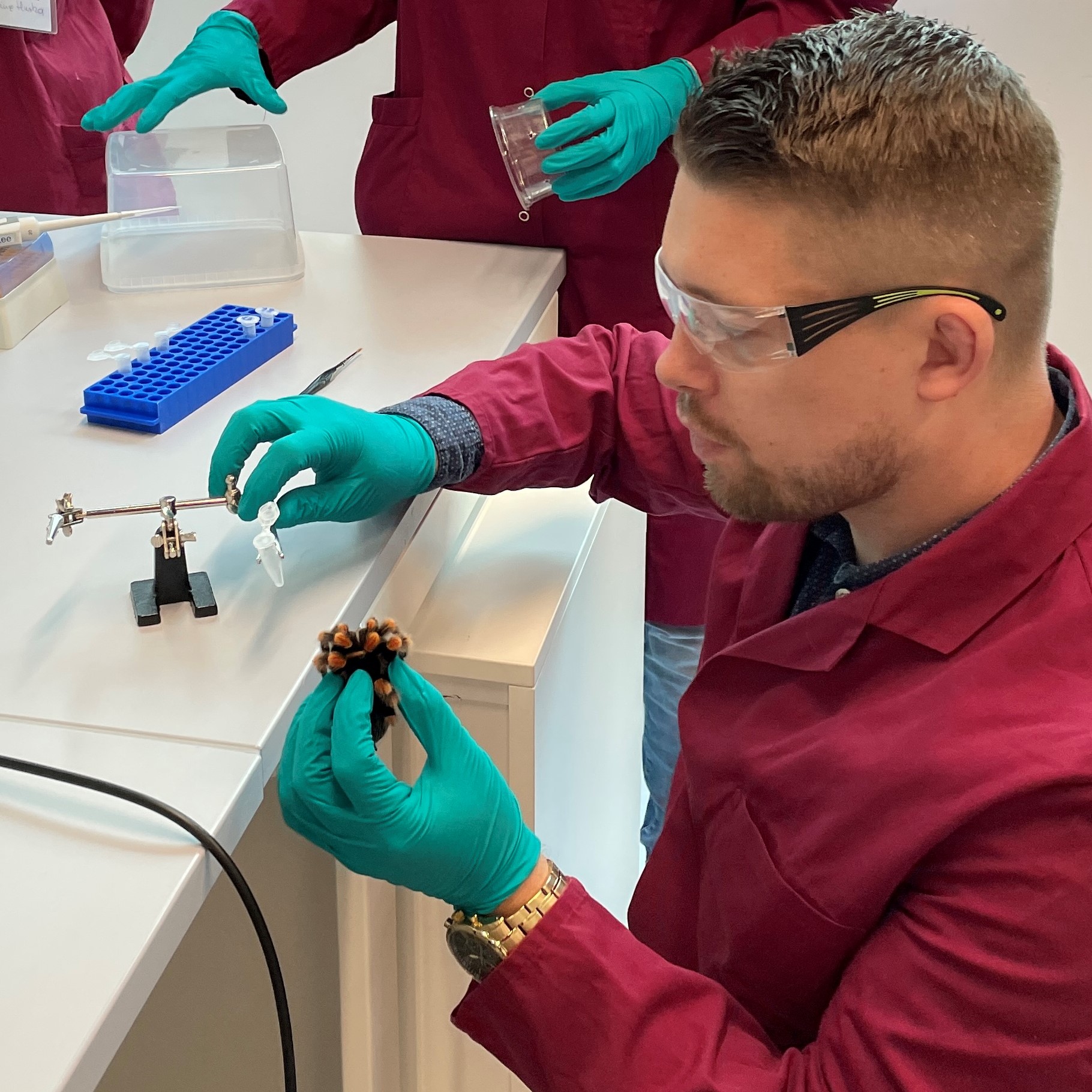 Exploring the Untapped Power of Animal Venoms - ChemistryViews