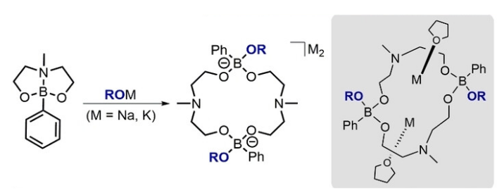Anionic Boraza‐Crown Ethers - ChemistryViews