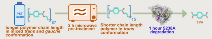 Microwave Pre-Treatment Improves Biocatalytic Depolymerization of PET ...