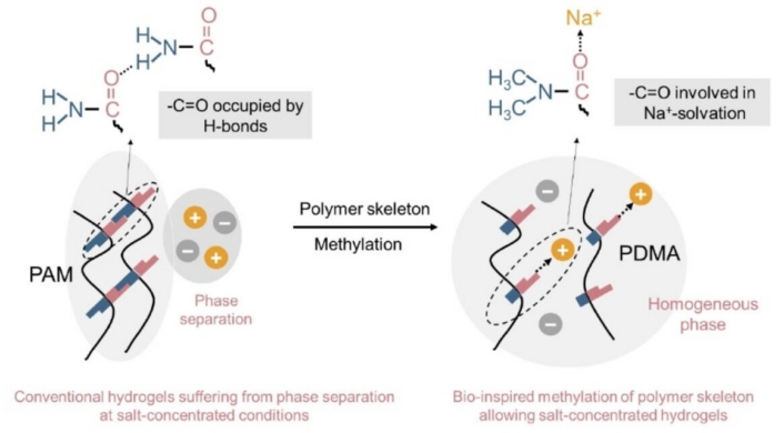 Flexible Sodium-Ion Batteries Improved by Electrolyte Methylation ...