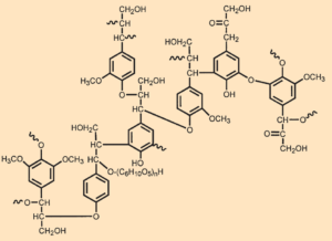 Chemistry Takes on Paper Conservation – Part 2 - ChemistryViews