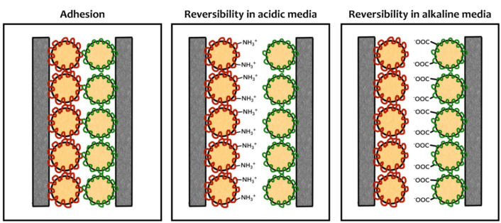 A Reversible Water-Based Electrostatic Adhesive - ChemistryViews