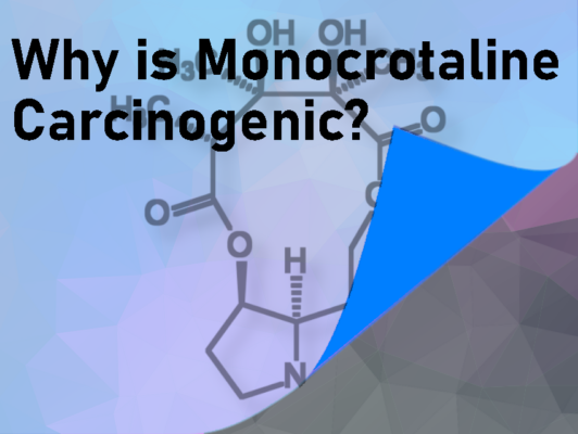 The Amazing Chemical Survival Strategy of a Moth – Part 1 - ChemistryViews