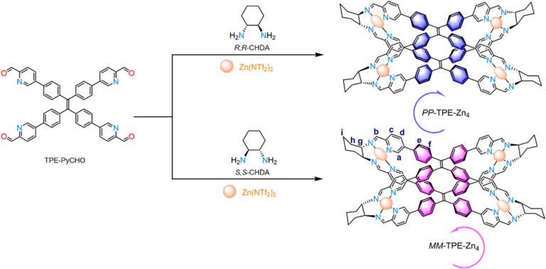 Chiral Organic Cages Based on Metalated Tetraphenylethylenes ...