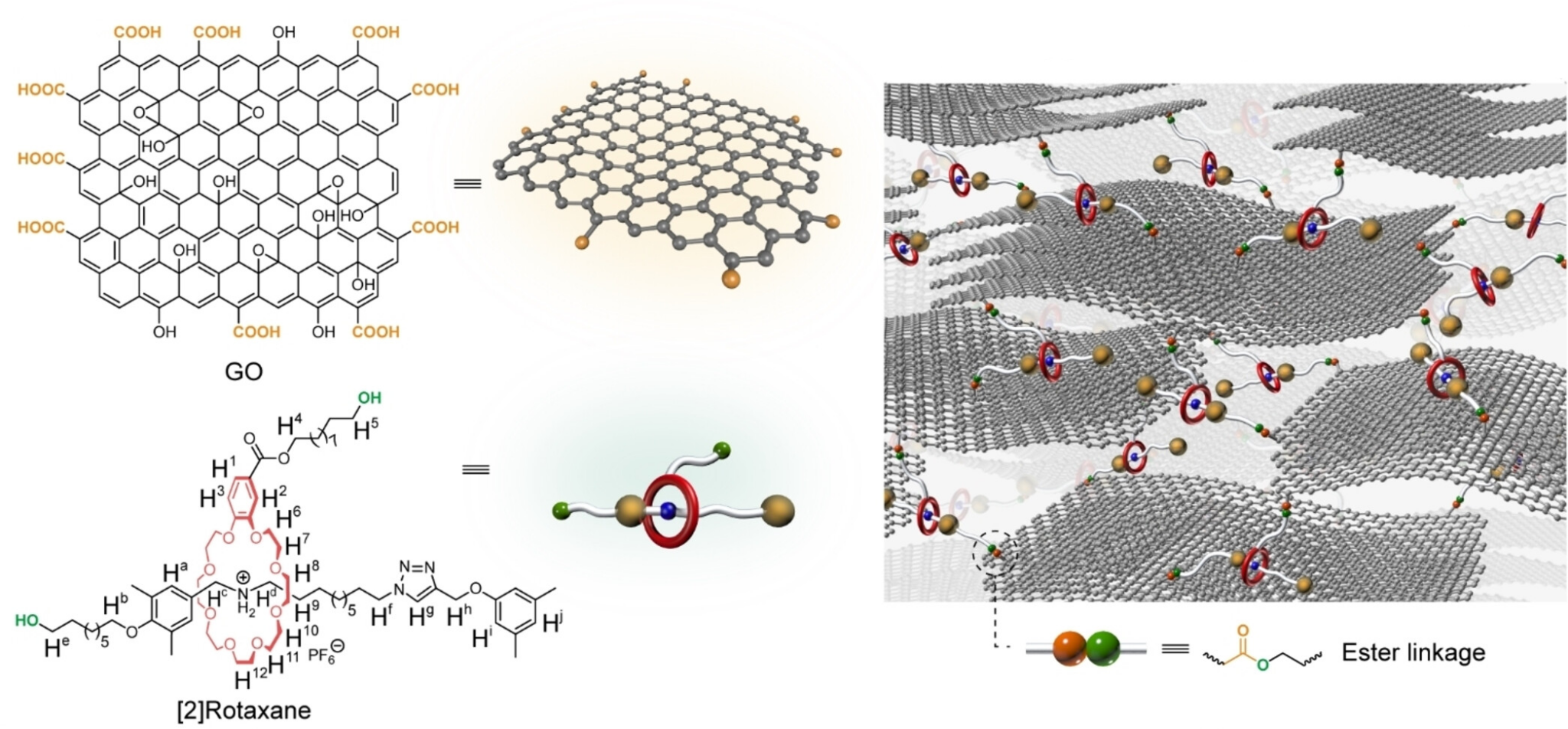 Cross-Linking Graphene Nanolayers with Rotaxanes - ChemistryViews