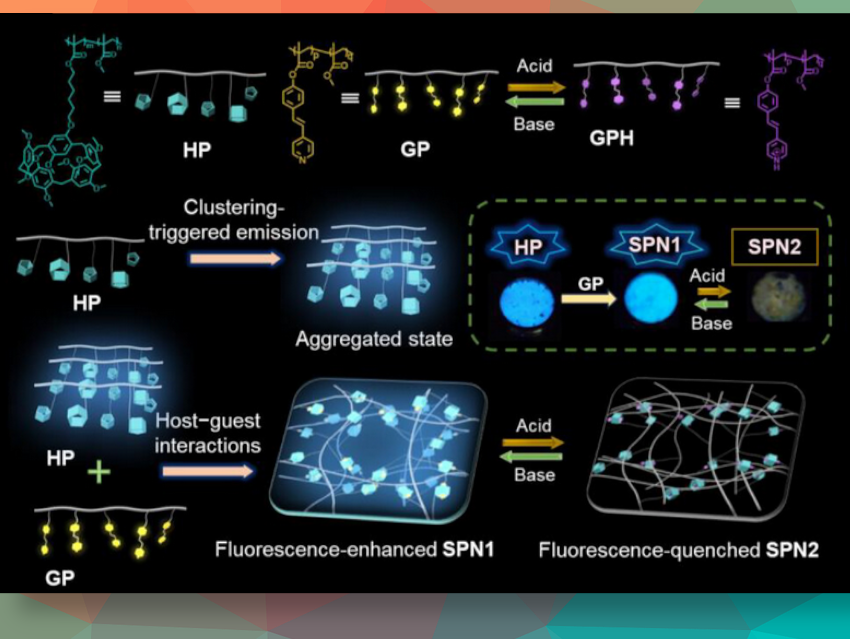 Regulatable Supramolecular Polymer Network - ChemistryViews