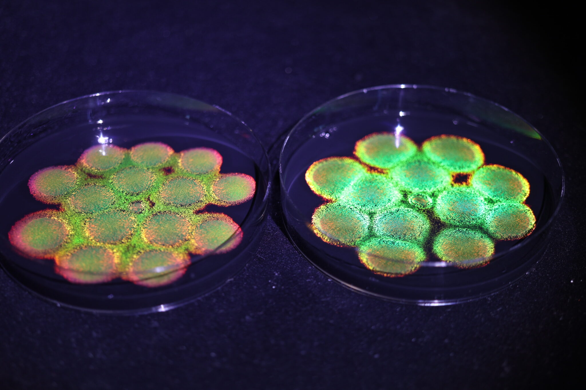 Photo Competition "Vibrant Chemistry" – Your Submissions - ChemistryViews