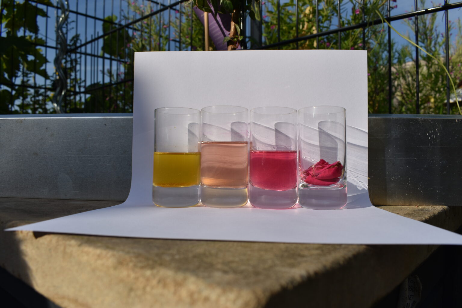 Photo Competition "Vibrant Chemistry" – Your Submissions - ChemistryViews