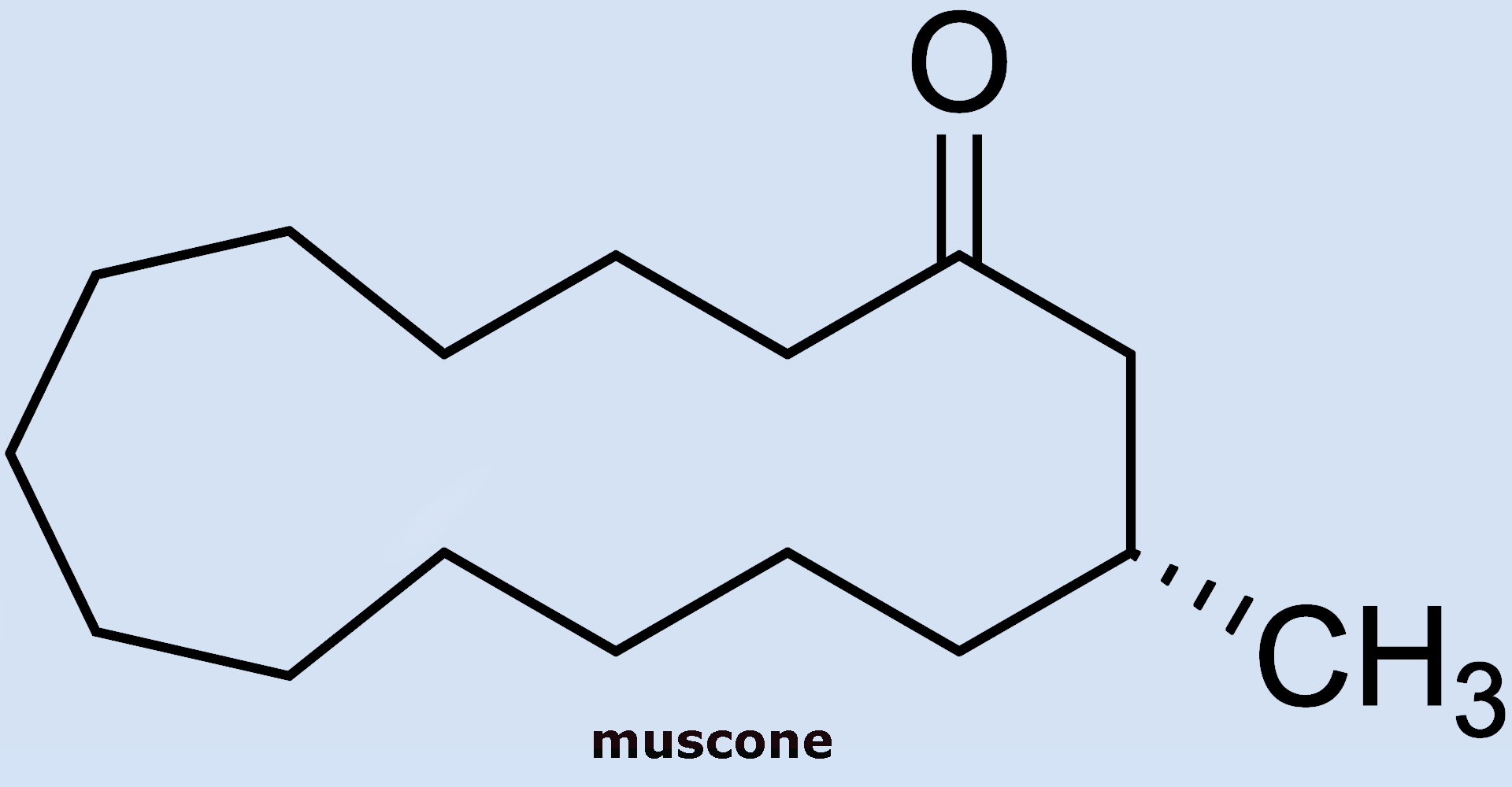 Who is Nature’s Biggest Stinker? – Part 2 - ChemistryViews