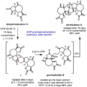 Solvent-Promoted Total Syntheses of Sesquiterpenoid Dimers - ChemistryViews