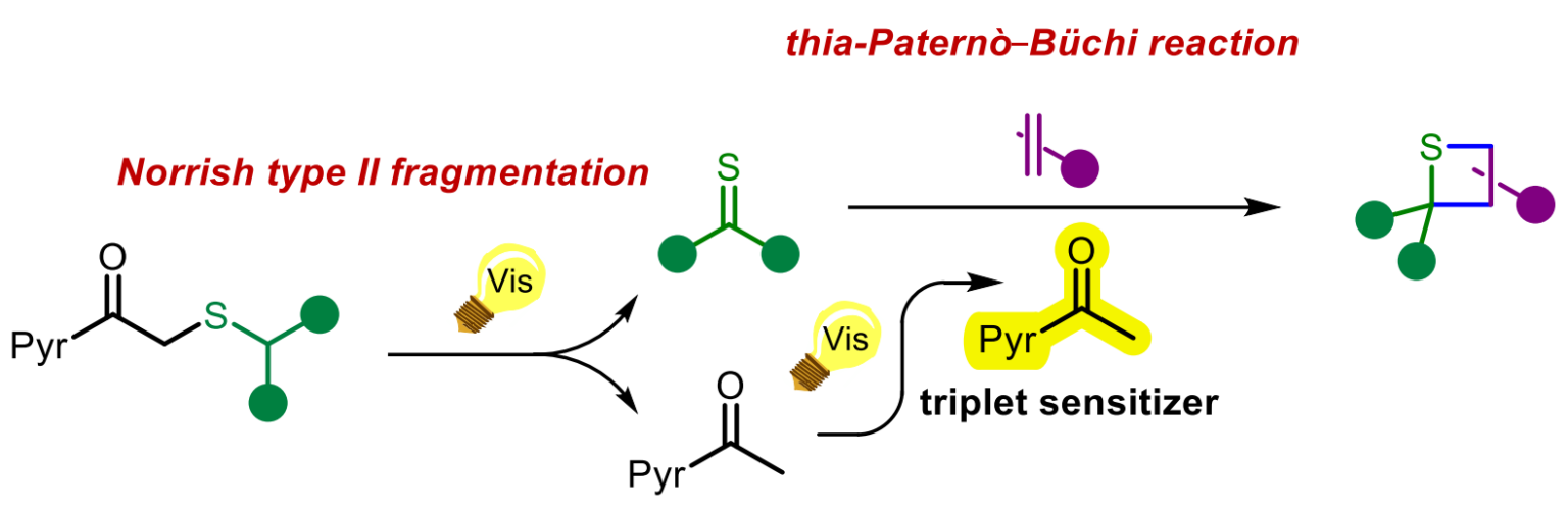 In-Situ-Generated Photocatalyst for the Thia-Paternò-Büchi Reaction ...