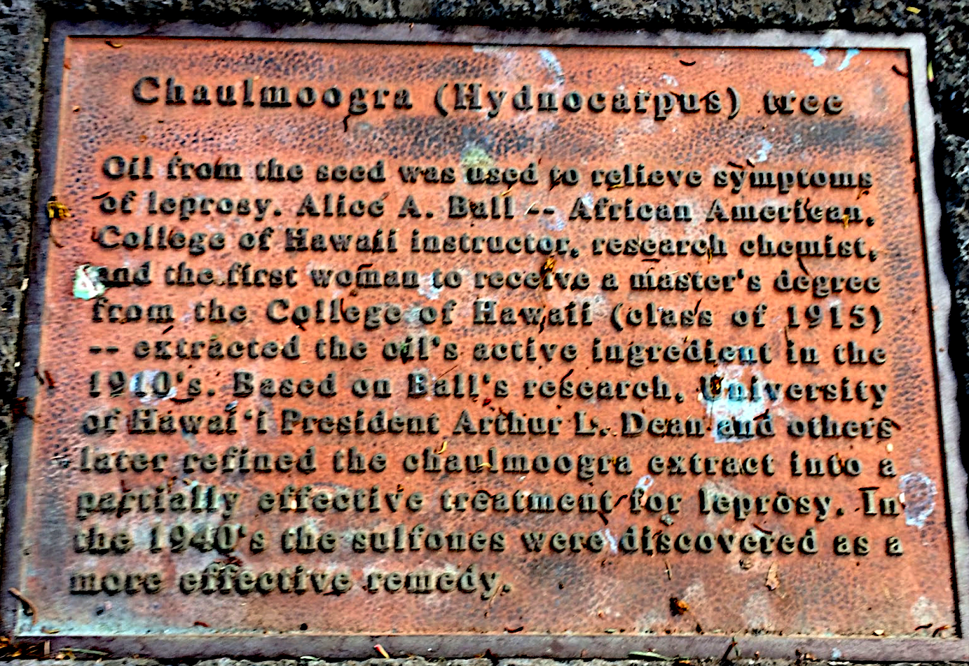 Alice Ball: First Injectable Leprosy Treatment - ChemistryViews