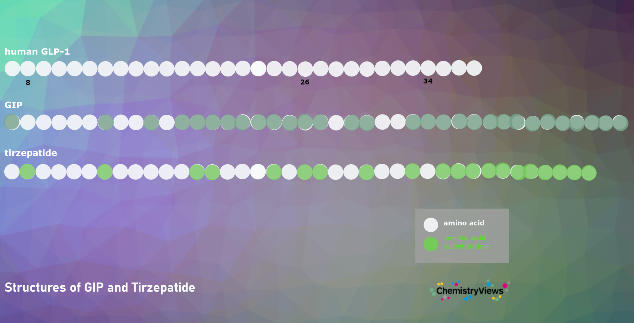How Ozempic Works: (Bio)Chemical Perspectives on Weight Loss Drugs ...