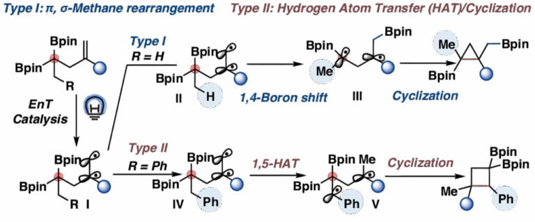 Light-Driven Routes to Strained Borylated Rings - ChemistryViews
