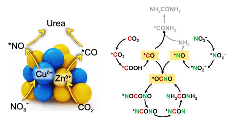 High-Efficiency Photoelectrocatalytic Urea Synthesis - ChemistryViews